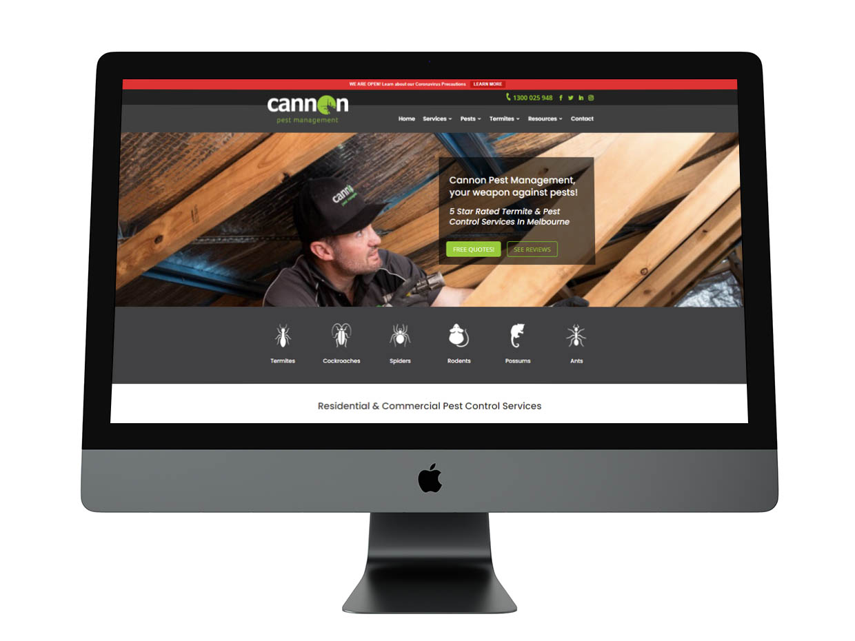 Website Design Packages Built By WordPress Experts