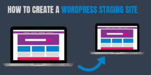 How To Create A WordPress Staging Site: (4 Options Step By Step)