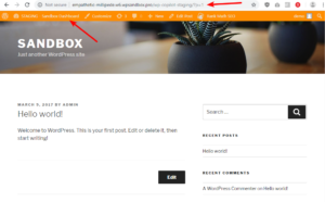 How To Create A WordPress Staging Site: (4 Options Step By Step)